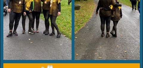 Shipping & Freight - UK, Northern Ireland & Ireland Transport Services